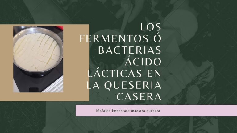 ¿Qué son los fermentos lácticos y para qué se utilizan? - Vida Bio tu ...