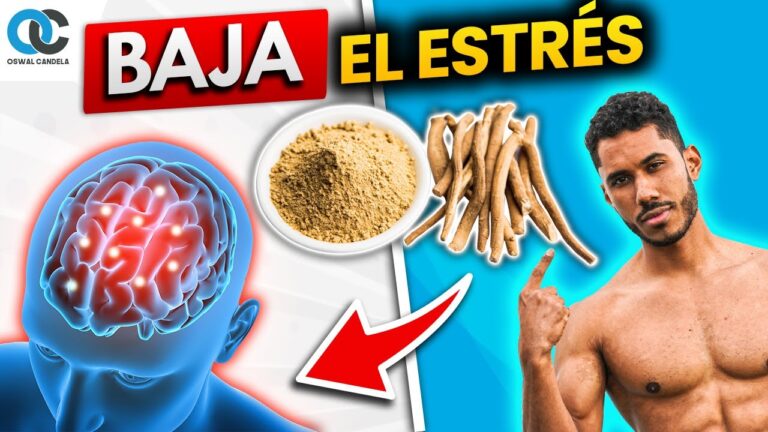 Usos y beneficios del Sensoril Ashwagandha - Vida Bio tu Web sobre ...