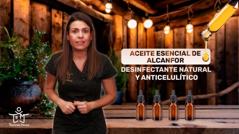 Aceite de alcanfor: propiedades y usos - Vida Bio tu Web sobre Nutrición