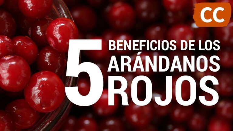 Propiedades y beneficios del arándano rojo - Vida Bio tu Web sobre Nutrición