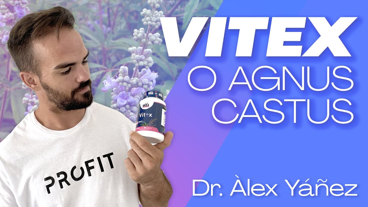 ¿Cuál es la función de la agnus castus? - Vida Bio tu Web sobre Nutrición