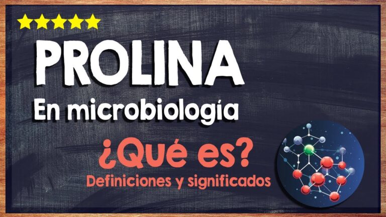 ¿Cuál es la función de la prolina en el cuerpo humano? - Vida Bio tu ...