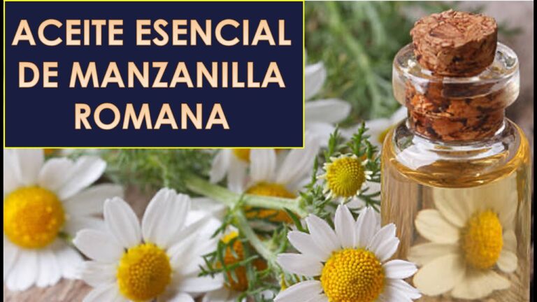 Aceite esencial de manzanilla romana: Beneficios y usos - Vida Bio tu ...