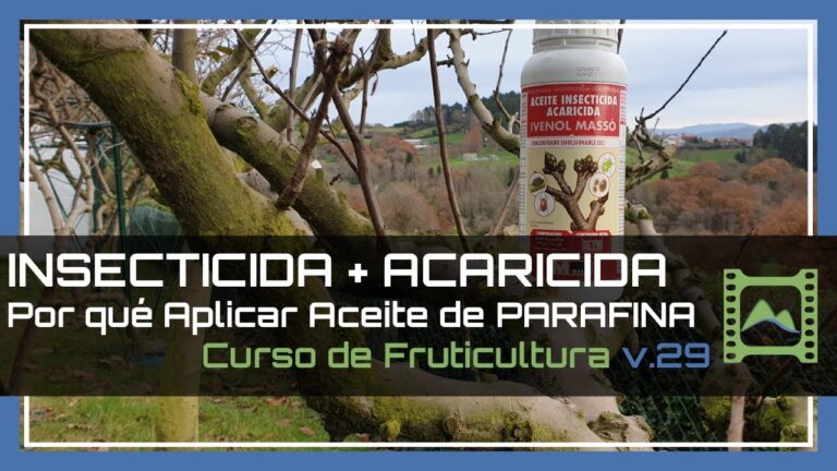 Dosis de aceite de parafina como insecticida - Vida Bio tu Web sobre ...