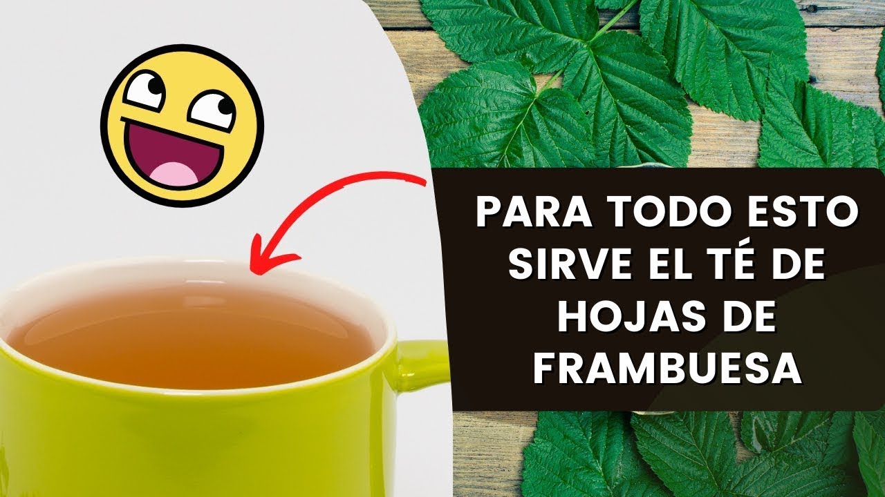 Té de Hojas de Frambuesa: ¿Cuáles son sus Beneficios? - Vida Bio tu Web ...